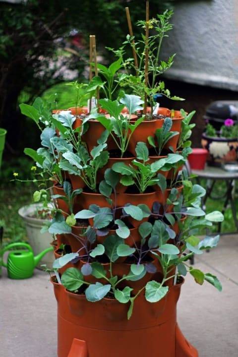 Garden Tower 2: The Best Vertical Tower, Plus Review 2023 - TheVitalDen