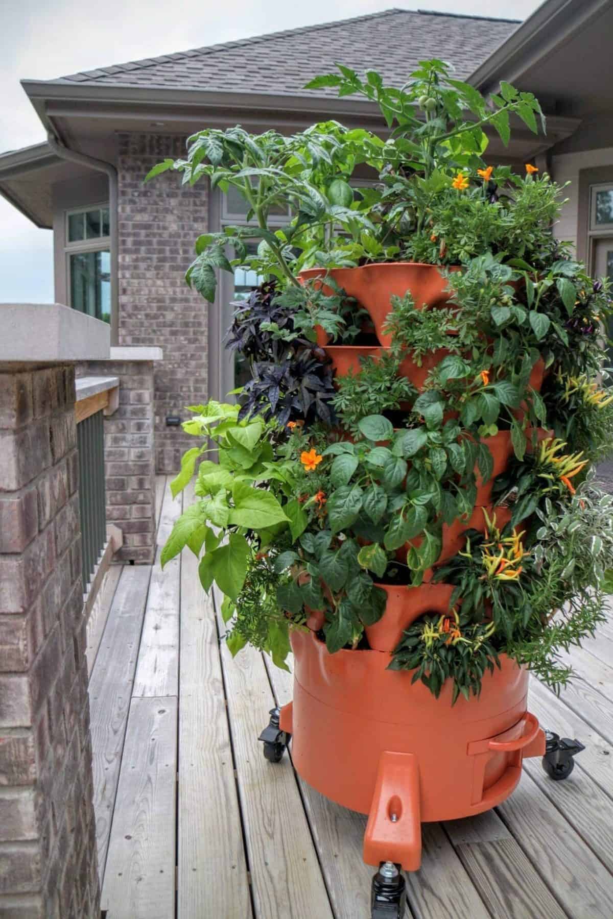 Garden Tower 2: The Best Vertical Tower, Plus Review 2023 - TheVitalDen