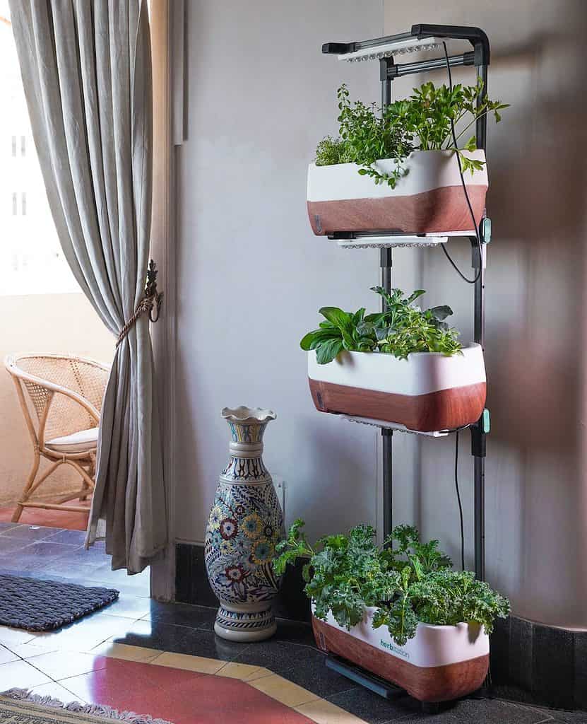 Vertical Garden Towers: Tips for Successful Vertical Gardening ...