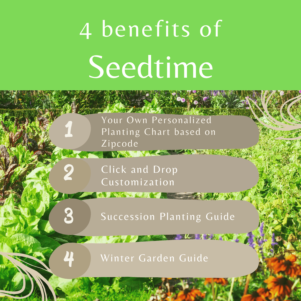 Seedtime: The Only Garden Planner You Will Ever Need - TheVitalDen